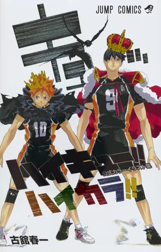 Haikyuu!! Official Color Illustration Collection Color!! – Club del Goblin